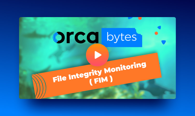 Orca Bytes: File Integrity Monitoring | Orca Security