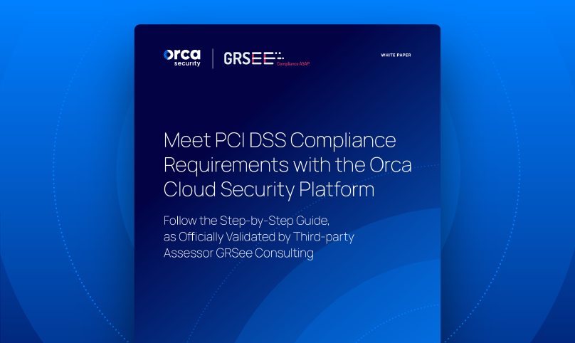 Meet Your PCI DSS Requirements Using Orca Security