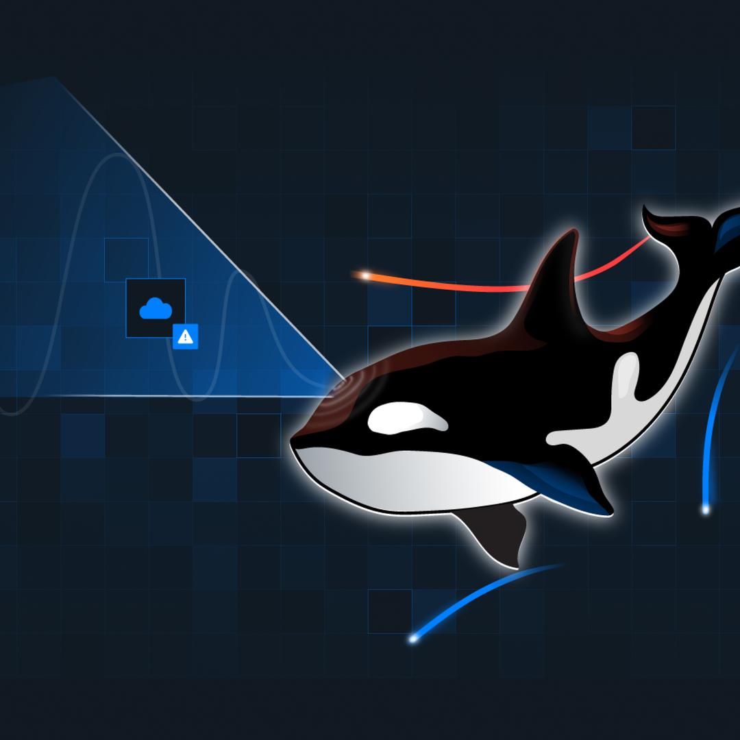 Trusted Cloud Security Platform | Orca Security