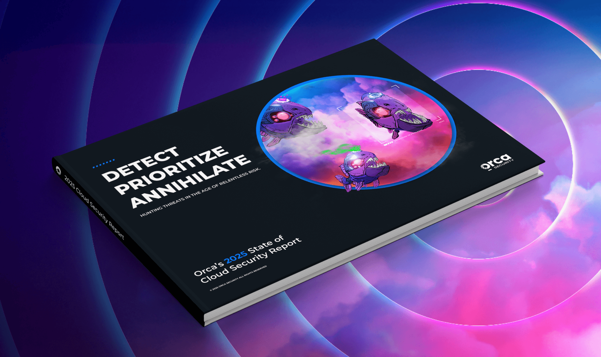 DoD Cloud Security Playbook: Key Insights & How Orca Supports It